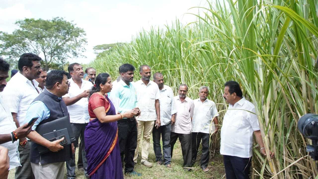 ಮಂಡ್ಯದ ವಿಸಿ ಫಾರಂಗೆ ಕೃಷಿ ಸಚಿವ ಚೆಲುವರಾಯಸ್ವಾಮಿ ಭೇಟಿ | Agriculture Minister ...