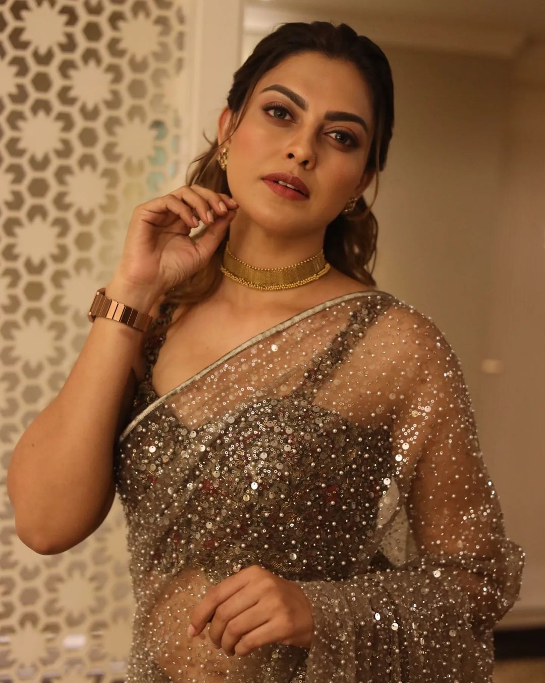 Anusree: മിന്നി മിന്നി... മിന്നിത്തിളങ്ങി അനുശ്രി... സാരിയില്‍ സ്‌റ്റൈലന്‍ ലുക്കില്‍ സുന്ദരിയായി ...