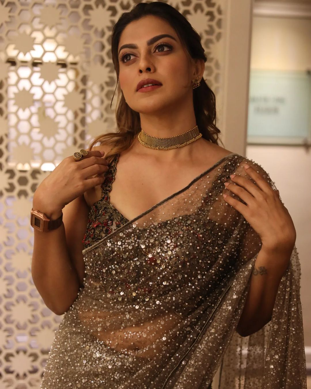 Anusree: മിന്നി മിന്നി... മിന്നിത്തിളങ്ങി അനുശ്രി... സാരിയില്‍ സ്‌റ്റൈലന്‍ ലുക്കില്‍ സുന്ദരിയായി ...