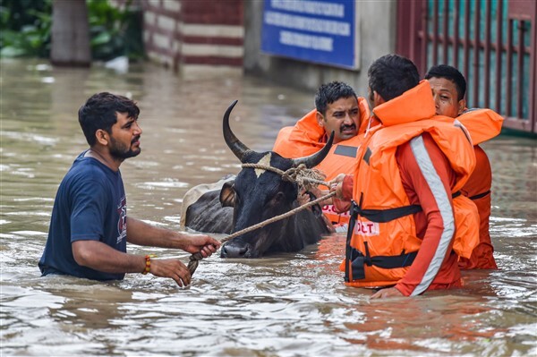 From Traffic Jams to Water Woes: Daily Life Disrupted by Monsoon Rain ...