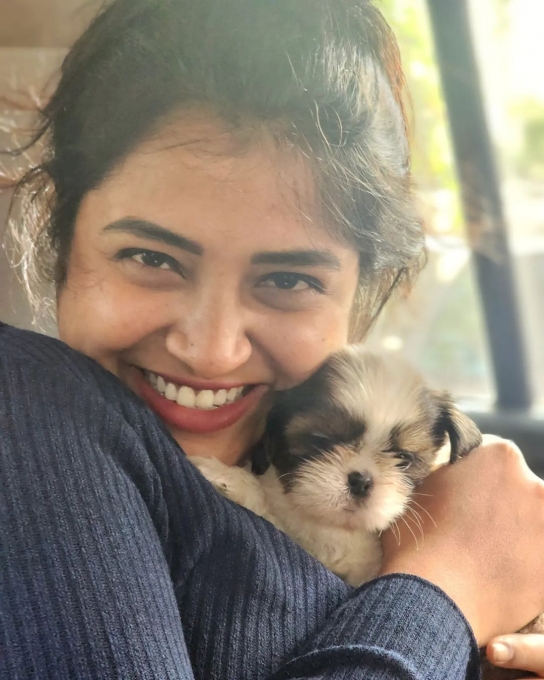 PHOTOS: நாய் குட்டி ஒன்றை புதிதாக வாங்கிய சுந்தரி சீரியல் நடிகை ...