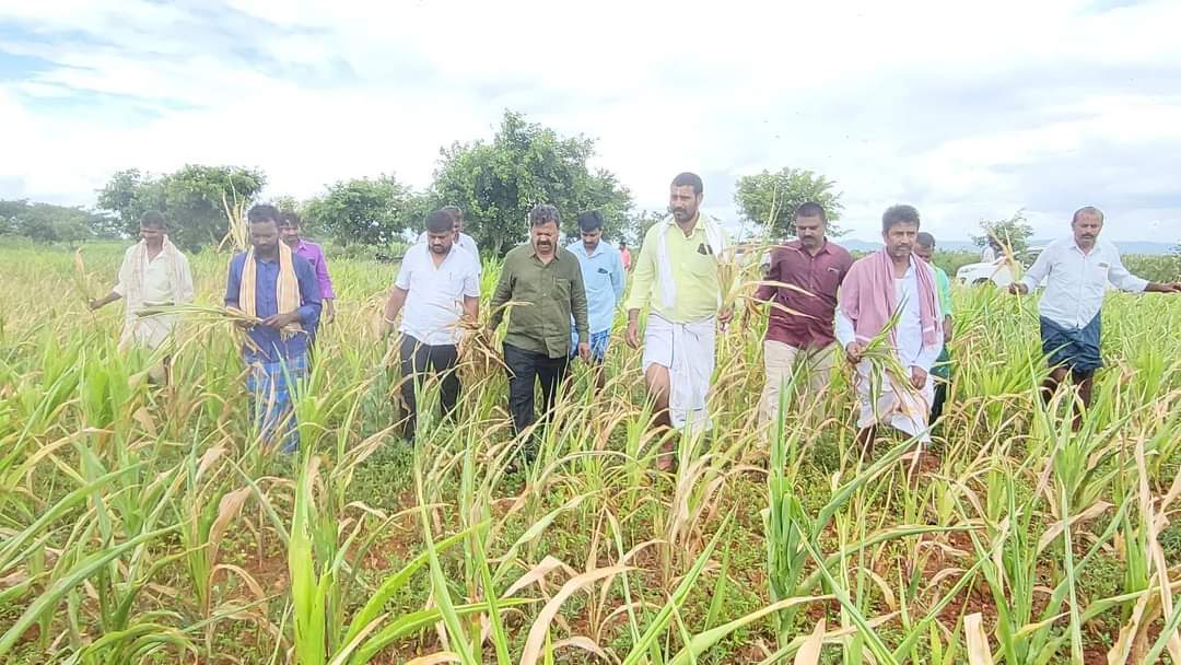 ಹೊನ್ನಾಳಿ: ಬೆಳೆಹಾನಿ ವೀಕ್ಷಣೆ ಮಾಡಿದ ಎಂ.ಪಿ.ರೇಣುಕಾಚಾರ್ಯ | Honnali: MP ...