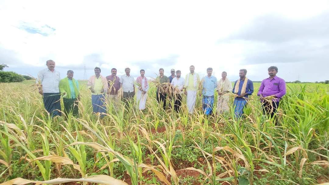 ಹೊನ್ನಾಳಿ: ಬೆಳೆಹಾನಿ ವೀಕ್ಷಣೆ ಮಾಡಿದ ಎಂ.ಪಿ.ರೇಣುಕಾಚಾರ್ಯ | Honnali: MP ...