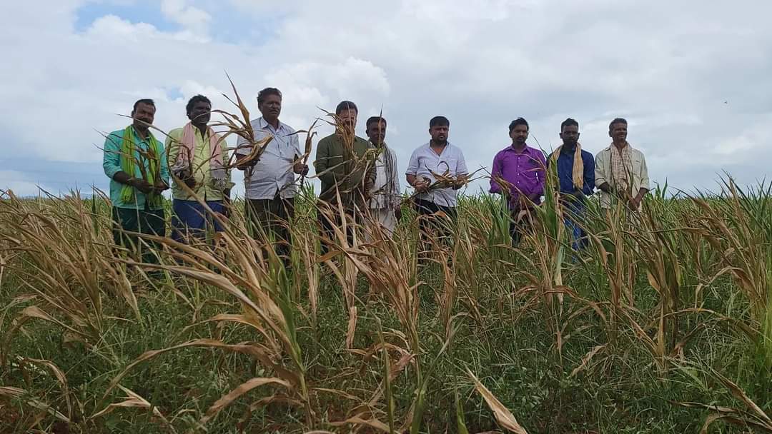 ಹೊನ್ನಾಳಿ: ಬೆಳೆಹಾನಿ ವೀಕ್ಷಣೆ ಮಾಡಿದ ಎಂ.ಪಿ.ರೇಣುಕಾಚಾರ್ಯ | Honnali: MP ...