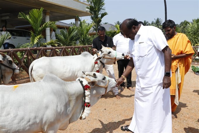 ಆಯುಧ ಪೂಜೆ ಸಂಭ್ರಮ: ದುಬಾರಿ ಬೆಲೆಯ ಕಾರುಗಳಿಗೆ ಪೂಜೆ ಸಲ್ಲಿಸಿದ ಕುಮಾರಸ್ವಾಮಿ ...