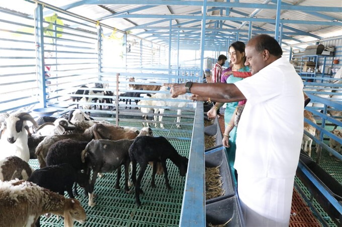 ಆಯುಧ ಪೂಜೆ ಸಂಭ್ರಮ: ದುಬಾರಿ ಬೆಲೆಯ ಕಾರುಗಳಿಗೆ ಪೂಜೆ ಸಲ್ಲಿಸಿದ ಕುಮಾರಸ್ವಾಮಿ ...