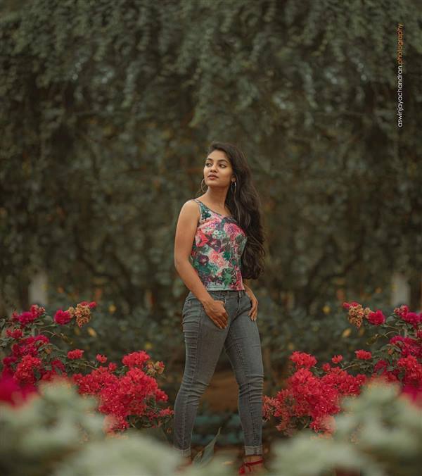 PHOTOS: 'லவ் டுடே' பட நாயகியா இது! கலர்புல் உடையில் மனம் கவர்ந்த ...