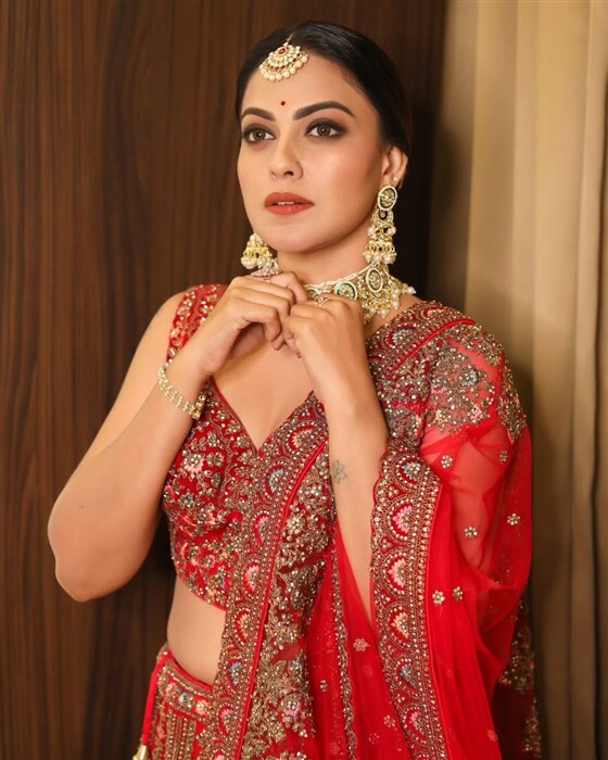 Anusree: 'റെഡ് ലവ്'! ചുവപ്പ് ലഹങ്കയില്‍ അതിസുന്ദരിയായി അനുശ്രീ, കാണാം ...