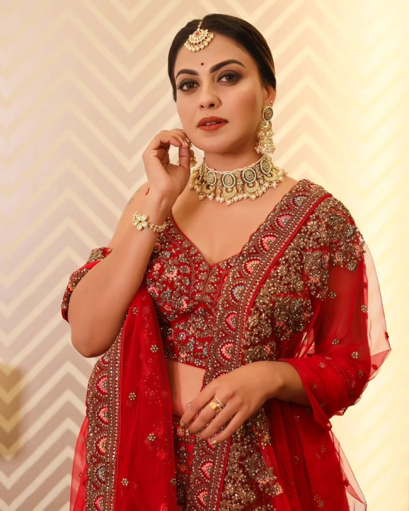 Anusree: ലേഡി ബോസ് ഇൻ ടൗൺ... പൊളിലുക്കിൽ അനുശ്രീ; ഇൻസ്റ്റയി ...