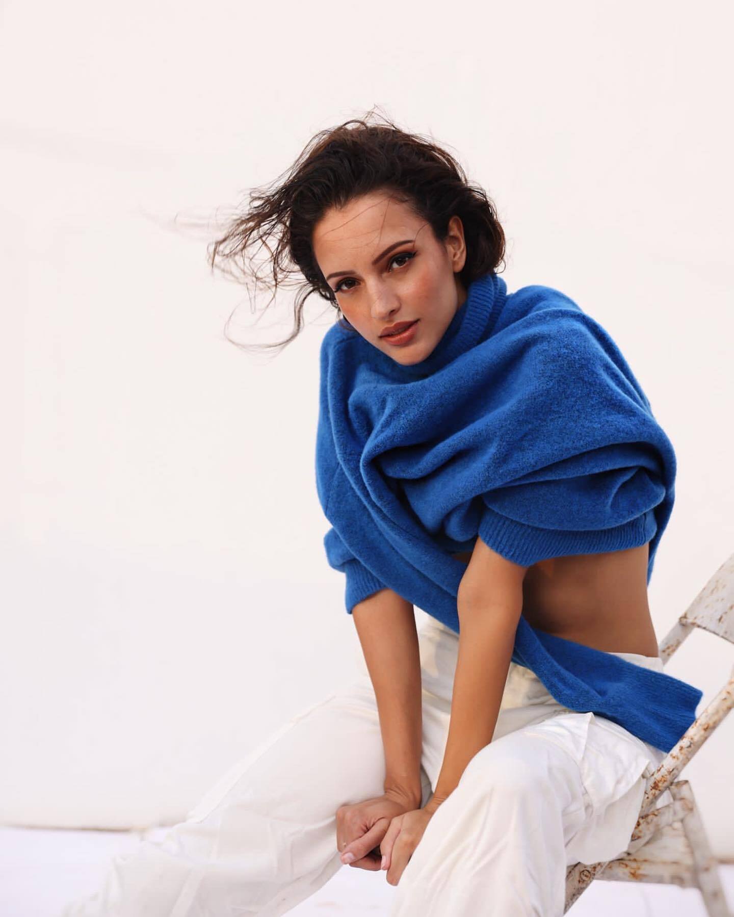 ఘాటు అందాలతో హీటెక్కిస్తున్న తృప్తి దిమ్రి.. డోస్ మాములుగా లేదులే ...