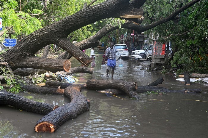In Pics: Chennai Grapples with Cyclone Michaung Aftermath - Oneindia