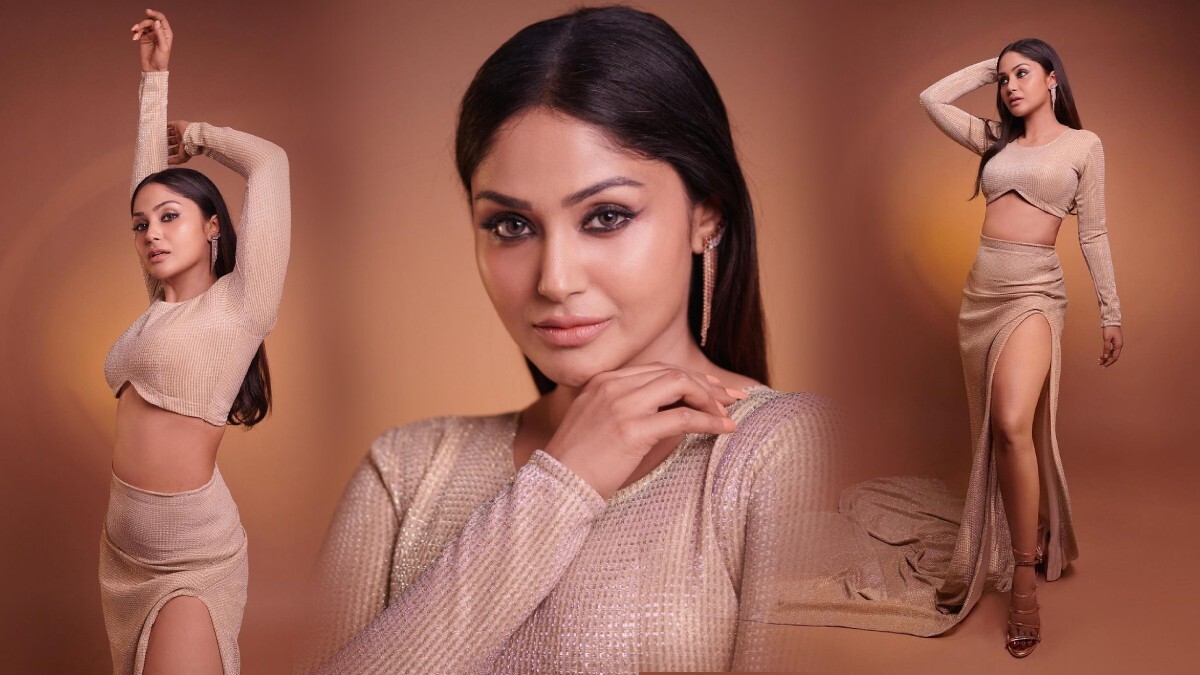 Shritha Sivadas: ഓർഡിനറി ടു എക്സ്ട്രാ ഓർഡിനറി.... ഗ്ലാമറസ് ലുക്കിൽ ശ്രിത ശിവദാസ്; ഇൻസ്റ്റയി ...