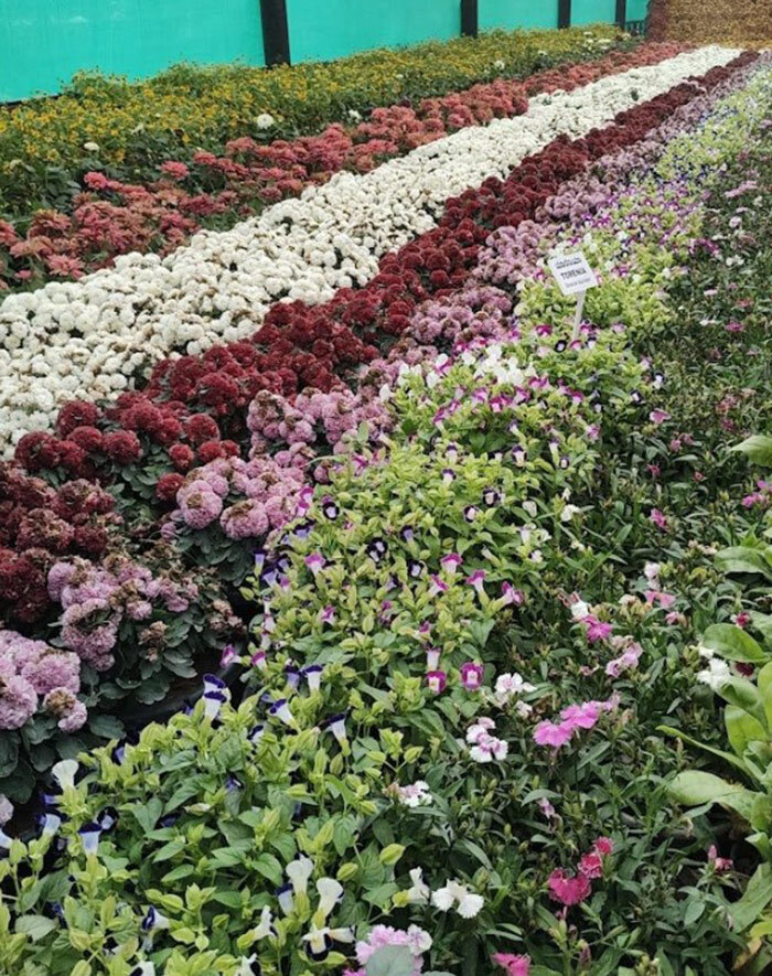 In Pics: Lalbagh Flower Show Honors Vishwa Guru Basavanna & Other ...