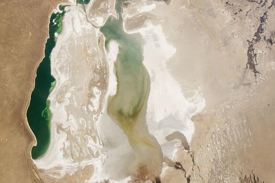 Aral Sea: পৃথিবী থেকেই গায়েব হয়ে গেল আস্ত একটি সমুদ্র, সামনে এল হাড় ...