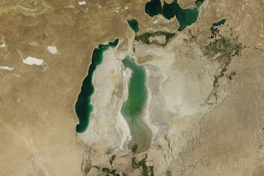Aral Sea: পৃথিবী থেকেই গায়েব হয়ে গেল আস্ত একটি সমুদ্র, সামনে এল হাড় ...