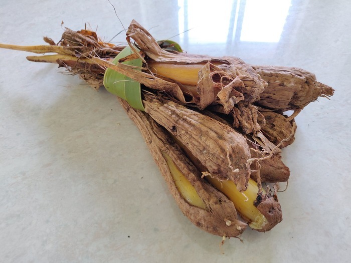 తరచూ తాటి తేగలు తింటే ఎన్ని ఆరోగ్య ప్రయోజనాలో తెలుసా? | Do You Know How ...