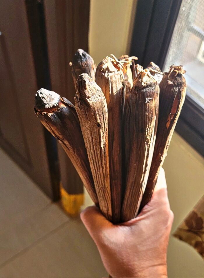 తరచూ తాటి తేగలు తింటే ఎన్ని ఆరోగ్య ప్రయోజనాలో తెలుసా? | Do You Know How ...