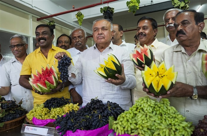 Drakshi Mela 2024: ವಿವಿಧ ಕಲ್ಲಂಗಡಿ ಹಾಗೂ ದ್ರಾಕ್ಷಿ ಖರೀದಿಸಿದ ಸಚಿವ ರಾಮಲಿಂಗಾ ...