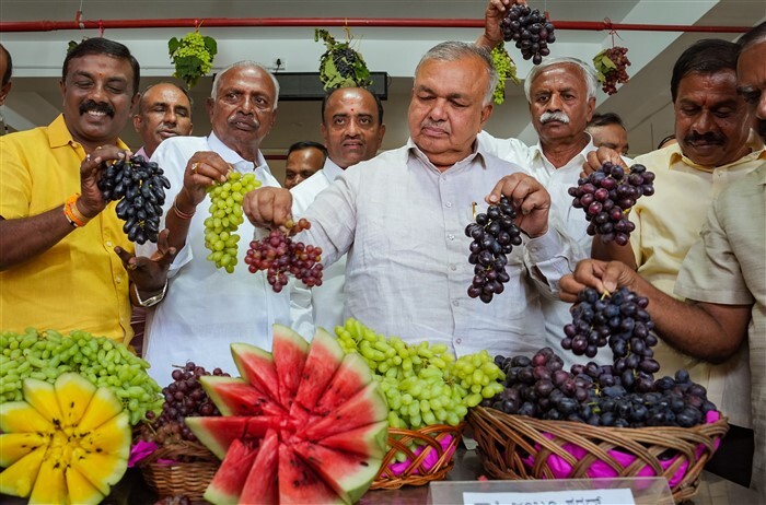 Drakshi Mela 2024: ವಿವಿಧ ಕಲ್ಲಂಗಡಿ ಹಾಗೂ ದ್ರಾಕ್ಷಿ ಖರೀದಿಸಿದ ಸಚಿವ ರಾಮಲಿಂಗಾ ...