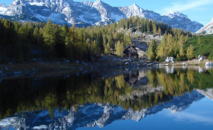 From Snowy Landscapes To Thrilling Activities: Explore The Magic Of ...