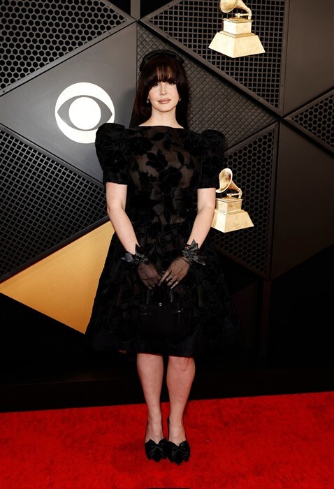 Grammy Awards 2024: Fun Highlights From The Star-Studded Awards Night ...