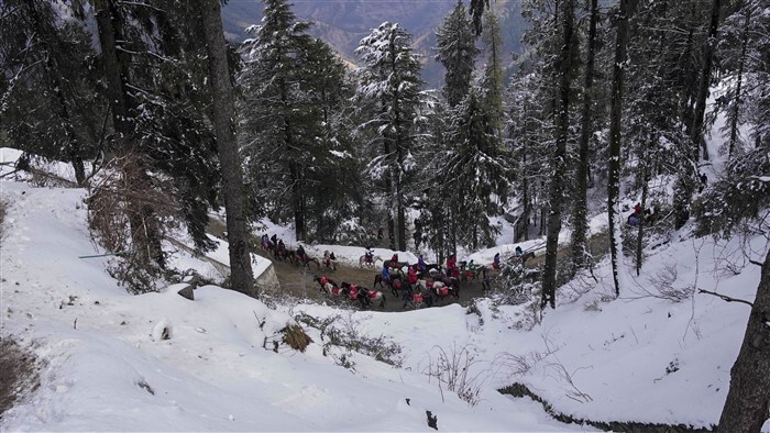 Photos: ಬಿಳಿ ಸೀರೆ ತೊಟ್ಟ ಶಿಮ್ಲಾ, ಇದರಂದ ಕಣ್ತುಂಬಿಕೊಳ್ಳಲು ಪ್ರವಾಸಿಗರ ದಂಡು ...