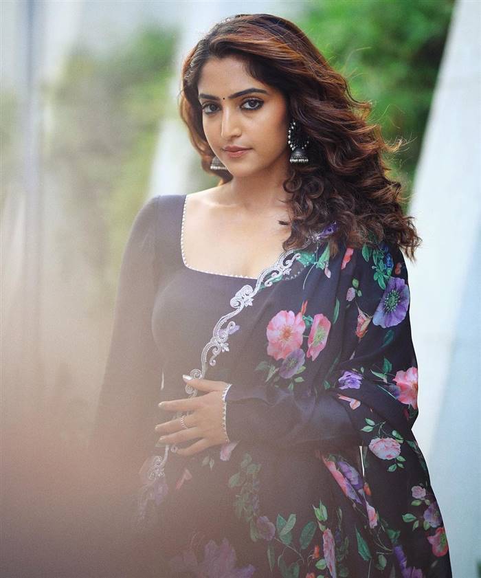 ബ്യൂട്ടി ക്വീന്‍!! പര്‍പ്പിളില്‍ രാജകുമാരിയേപ്പോലണിഞ്ഞൊരുങ്ങി റെബ ...