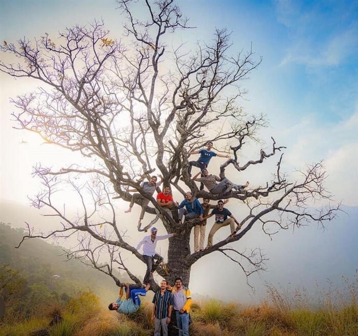 തമിഴ്നാട്ടില്‍ തരംഗമായി മഞ്ഞുമ്മല്‍ ബോയ്സ്: ഞെട്ടിച്ച കളക്ഷന്‍, ചരിത്രം ...