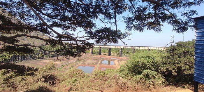 ಶಾಂತಿ ಸಾಗರದಲ್ಲಿ ನೀರಿನ ಸಂಗ್ರಹ ಗಣನೀಯ ಇಳಿಕೆ: ಕಾರಣವೇನು? | Shanthi Sagara ...