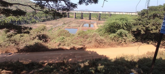 ಶಾಂತಿ ಸಾಗರದಲ್ಲಿ ನೀರಿನ ಸಂಗ್ರಹ ಗಣನೀಯ ಇಳಿಕೆ: ಕಾರಣವೇನು? | Shanthi Sagara ...