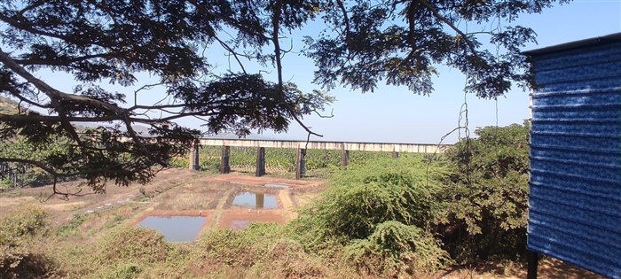 ಶಾಂತಿ ಸಾಗರದಲ್ಲಿ ನೀರಿನ ಸಂಗ್ರಹ ಗಣನೀಯ ಇಳಿಕೆ: ಕಾರಣವೇನು? | Shanthi Sagara ...