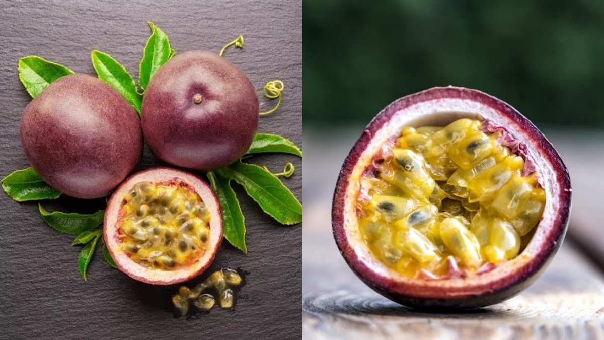 ആളിത്തിരി ഫാഷൻ ആണേലും നാട്ടിലും കിട്ടും; പാഷൻ ഫ്രൂട്ടിന് ഇങ്ങനെയും ഗുണങ്ങളോ? കേട്ടപ്പോൾ ഞാ ...