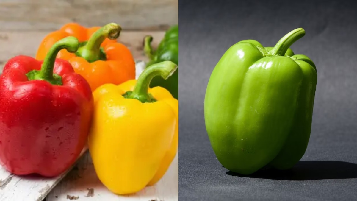 പേര് പോലെ തന്നെ ക്യാപ്‌സിക്കം ആളൊരു കേമൻ തന്നെ; ഇത്രയും ഗുണങ്ങ ...