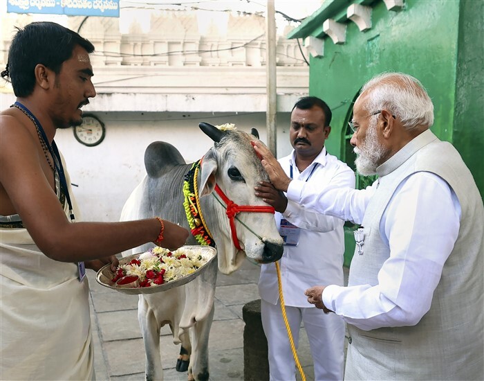 Modi Go Pooje Photos: ಲೋಕಸಭೆ ಚುನಾವಣೆ ಪ್ರಚಾರದ ವೇಳೆ ಗೋ ಪೂಜೆ ಮಾಡಿದ ಮೋದಿ ...