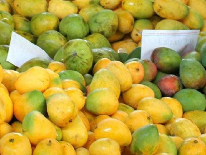 ಮಾವು-ಹಲಸು ಮಾರಾಟ ಮೇಳಕ್ಕೆ ಭರ್ಜರಿ ಚಾಲನೆ | Mango And Jack Fruit Mela ...