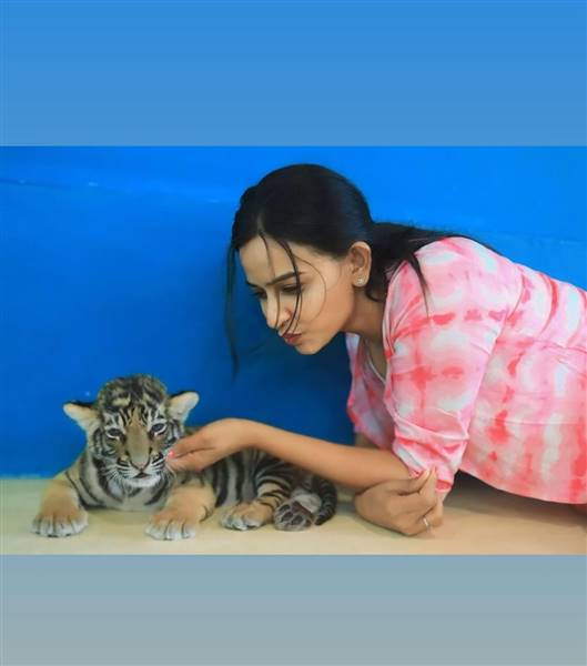 புலி குட்டியுடன் க்யூட்டாக போஸ் கொடுத்த சீரியல் நடிகை.. இணையத்தை ...