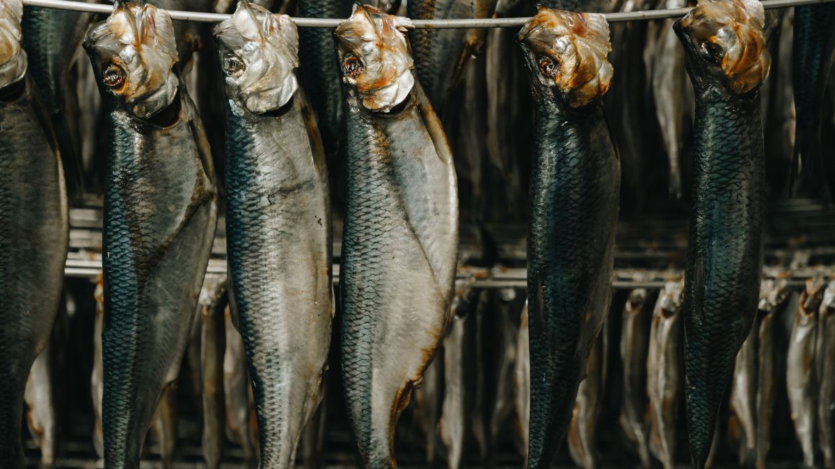 ఎండు చేపలను తింటే మీ శరీరంలో కలిగే మార్పులు ఇవే! | These Are The ...