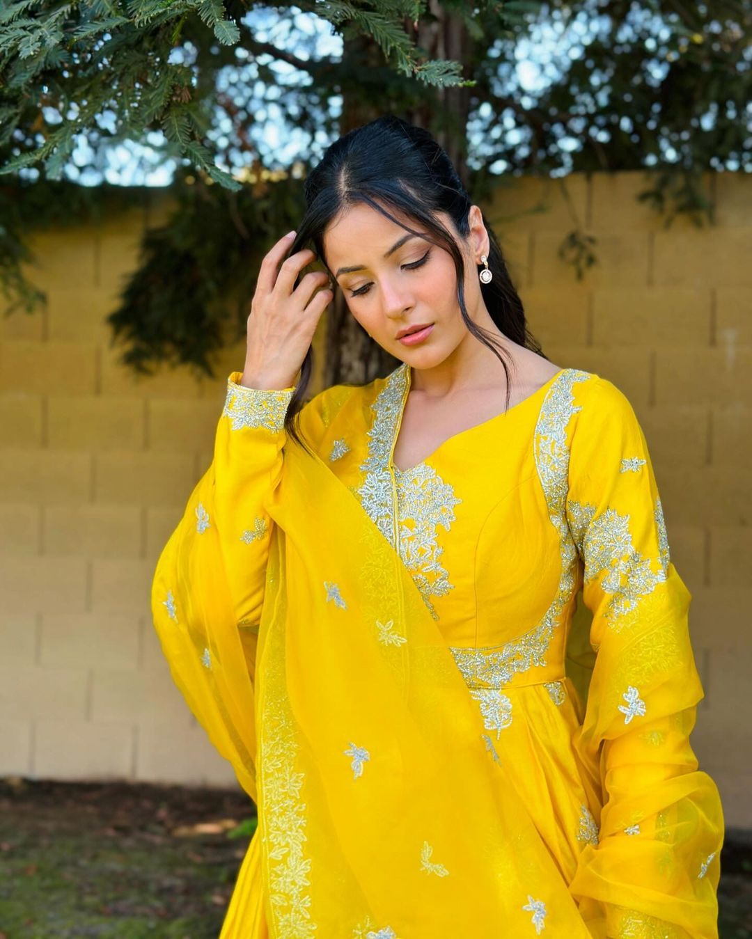 सिंपल सूट पहन शहनाज गिल ने कातिल अदाओं से बरपाया कहर, हॉट अंदाज देखकर ...