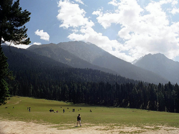 சுற்றுலாவாசிகளை அதிகம் ஈர்க்கும் பஹல்கம் சுற்றுலாத்தலம்.. அப்படி அங்க ...