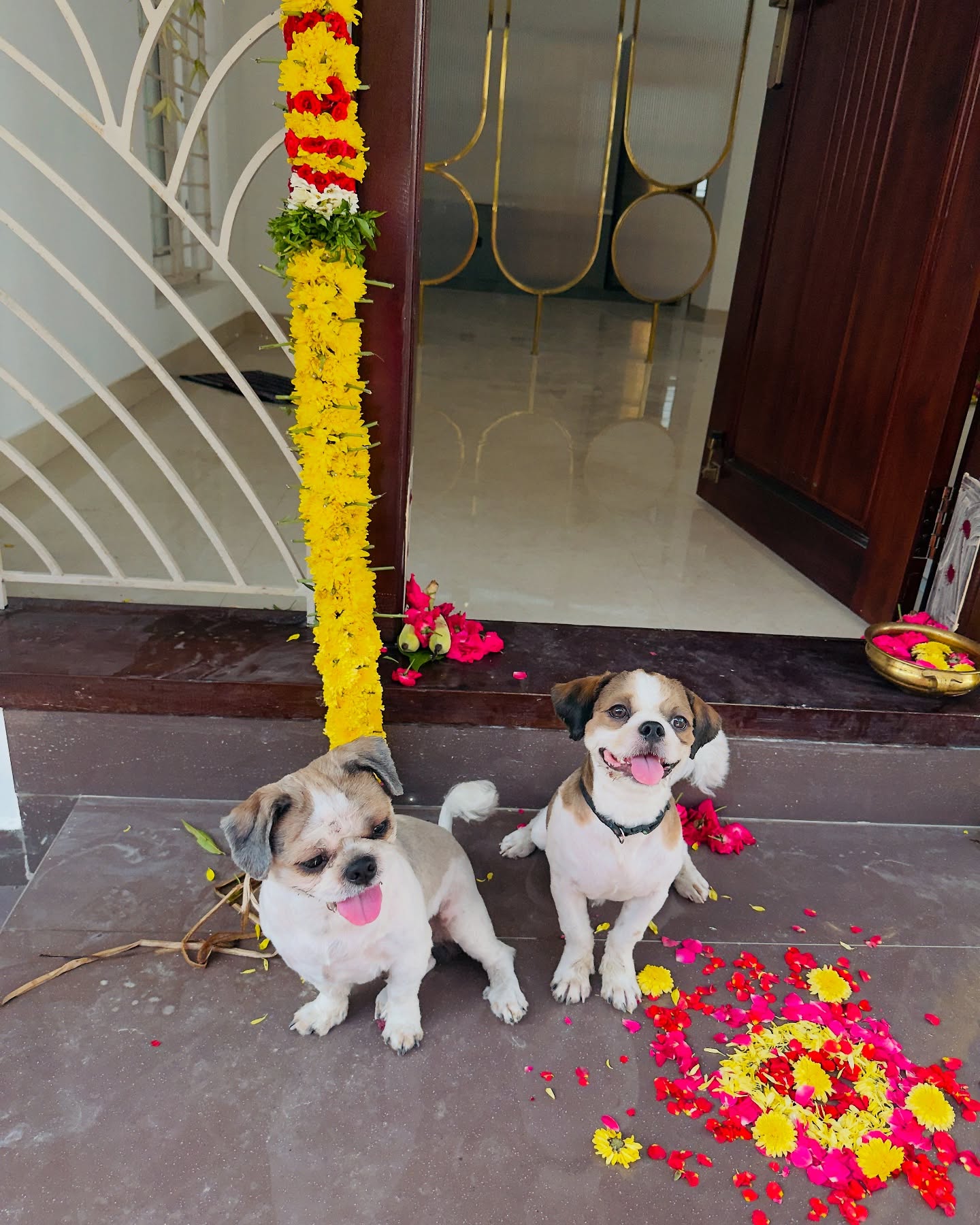 புது வீடு.. புது தொடக்கம்.. டிக் டாக் இலக்கியாவின் வீட்டை பாத்தீங்களா ...