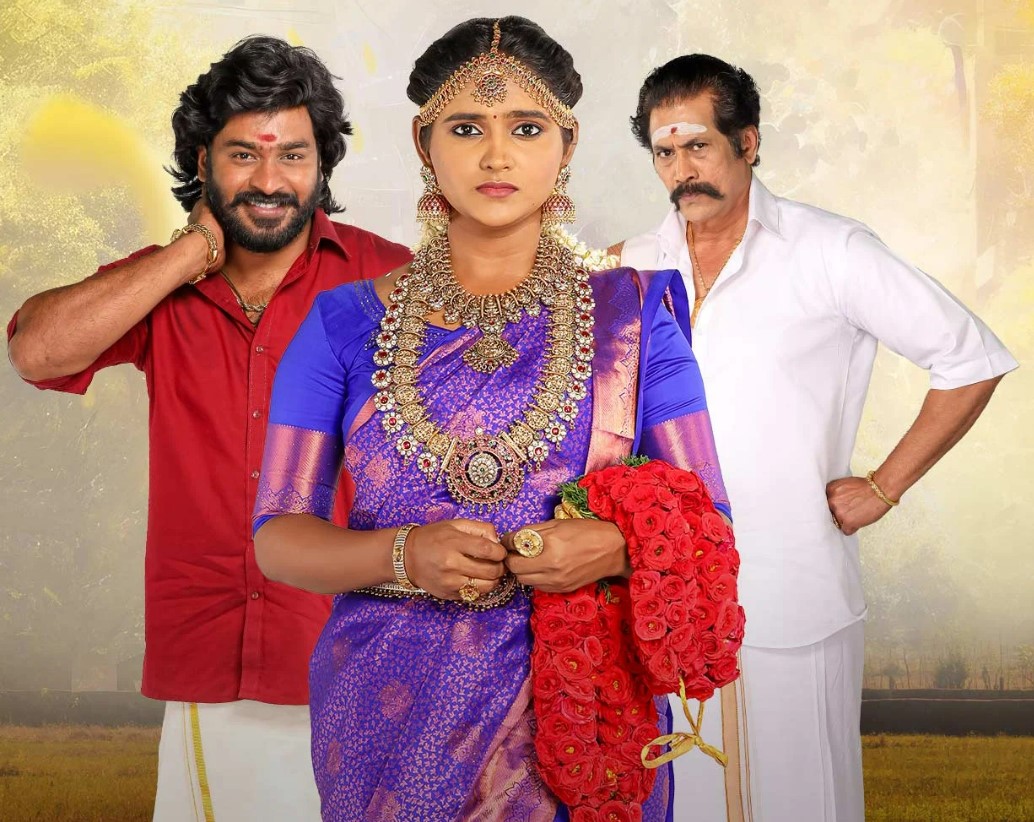 விஜய் டிவியில் அதிகம் பார்க்கப்பட்ட சீரியல்களின் பட்டியல்.. டாப் 5 ...