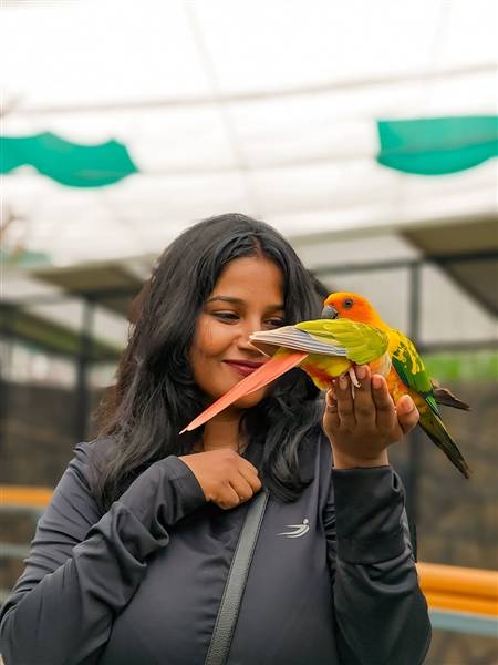 பறவைகளுடன் கொஞ்சி மகிழும் கேபி.. இணையத்தை கலக்கும் க்யூட் போட்டோஸ் ...
