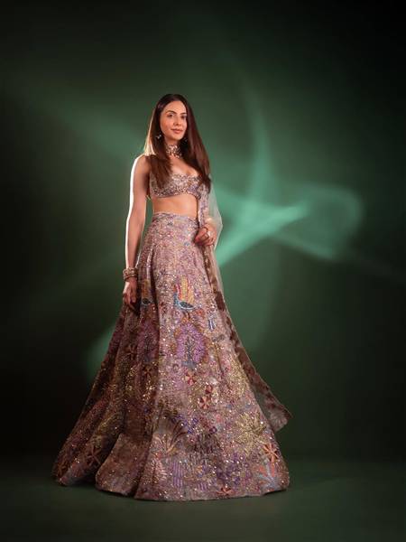 ஜொலி ஜொலிக்கும் லெஹெங்காவில்.. ரசிகர்களின் கவனத்தை ஈர்க்கும் ரகுல் ...