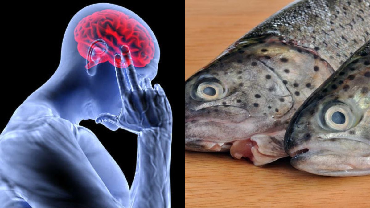 చేప కళ్ళు తింటున్నారా..? తినే ముందుకు వీటి గురించి తెలుసుకోవాల్సిందే ...