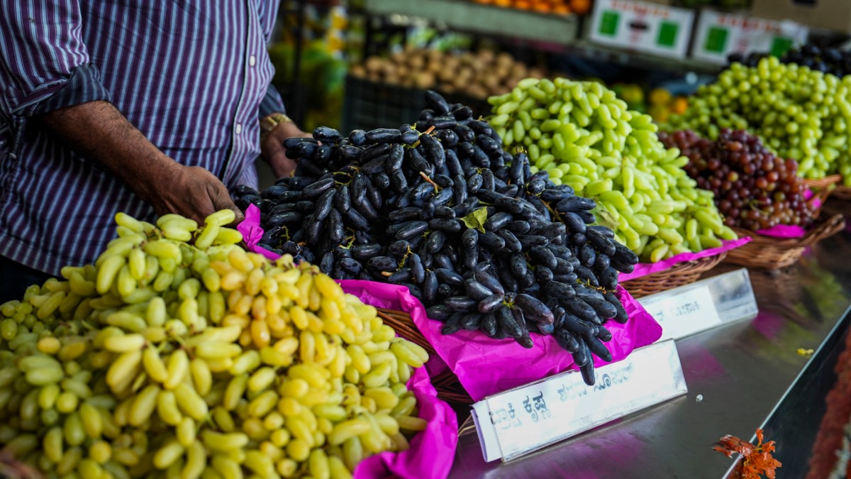 Drakshi Mela 2024: ವಿವಿಧ ಕಲ್ಲಂಗಡಿ ಹಾಗೂ ದ್ರಾಕ್ಷಿ ಖರೀದಿಸಿದ ಸಚಿವ ರಾಮಲಿಂಗಾ ...