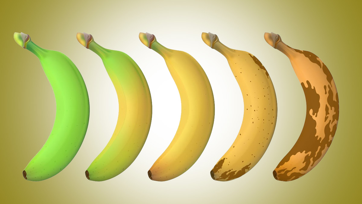 பேயன் வாழைப்பழம் கேள்விப்பட்டிருக்கிறீர்களா..? வாழைப்பழத்தின் வகைகள் ...