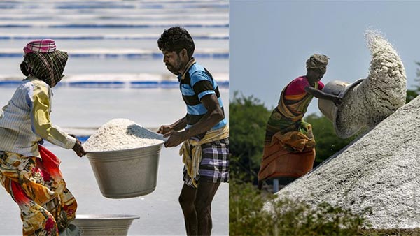 Labourers Work At A Salt Pan At Vedaranyam, In Nagapattinam District ...