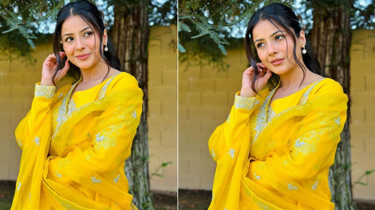 सिंपल सूट पहन शहनाज गिल ने कातिल अदाओं से बरपाया कहर, हॉट अंदाज देखकर ...