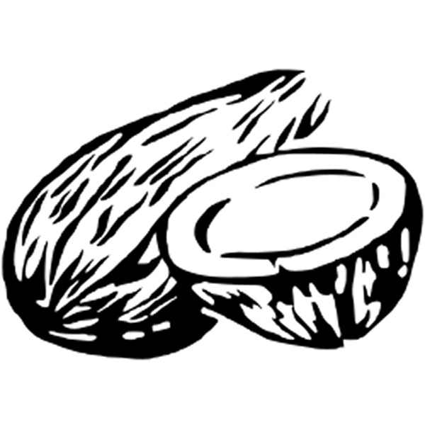 OTH Candidate List For Goa Elections 2022: Full List of Winners and ...