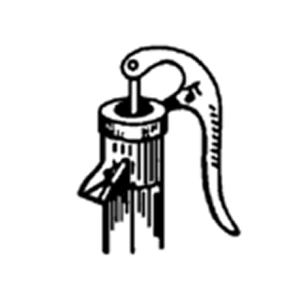 Rashtriya Janata Dal (RJD) Political Party Symbol, Flag, Founder ...